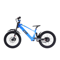 Revvi 20" Electric Balance Bike for Kids | Future Riders